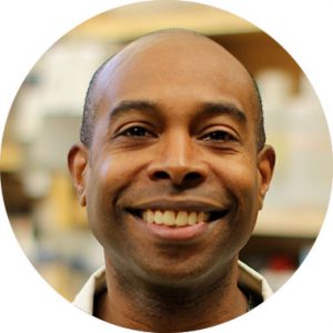 Team | NLM Photonics